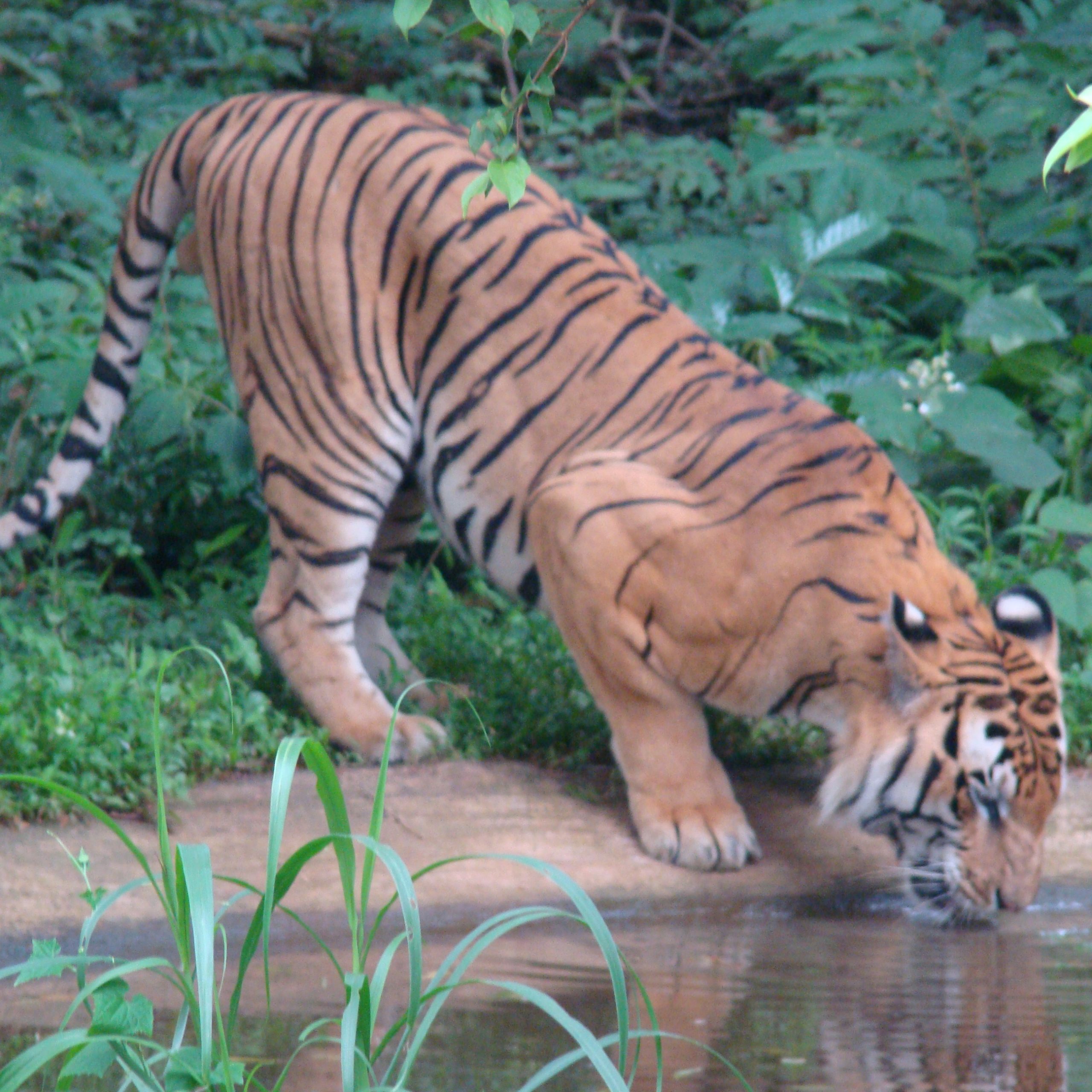 Pilikula to remain open on Nov 16 - The Canara Post