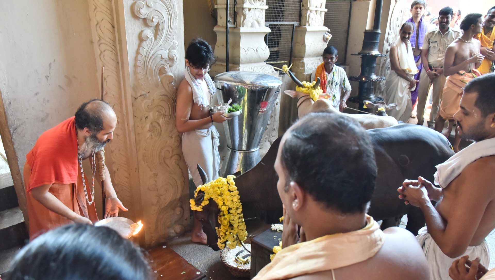 Gow Pooja at Udupi Sri Krishna Matha - The Canara Post
