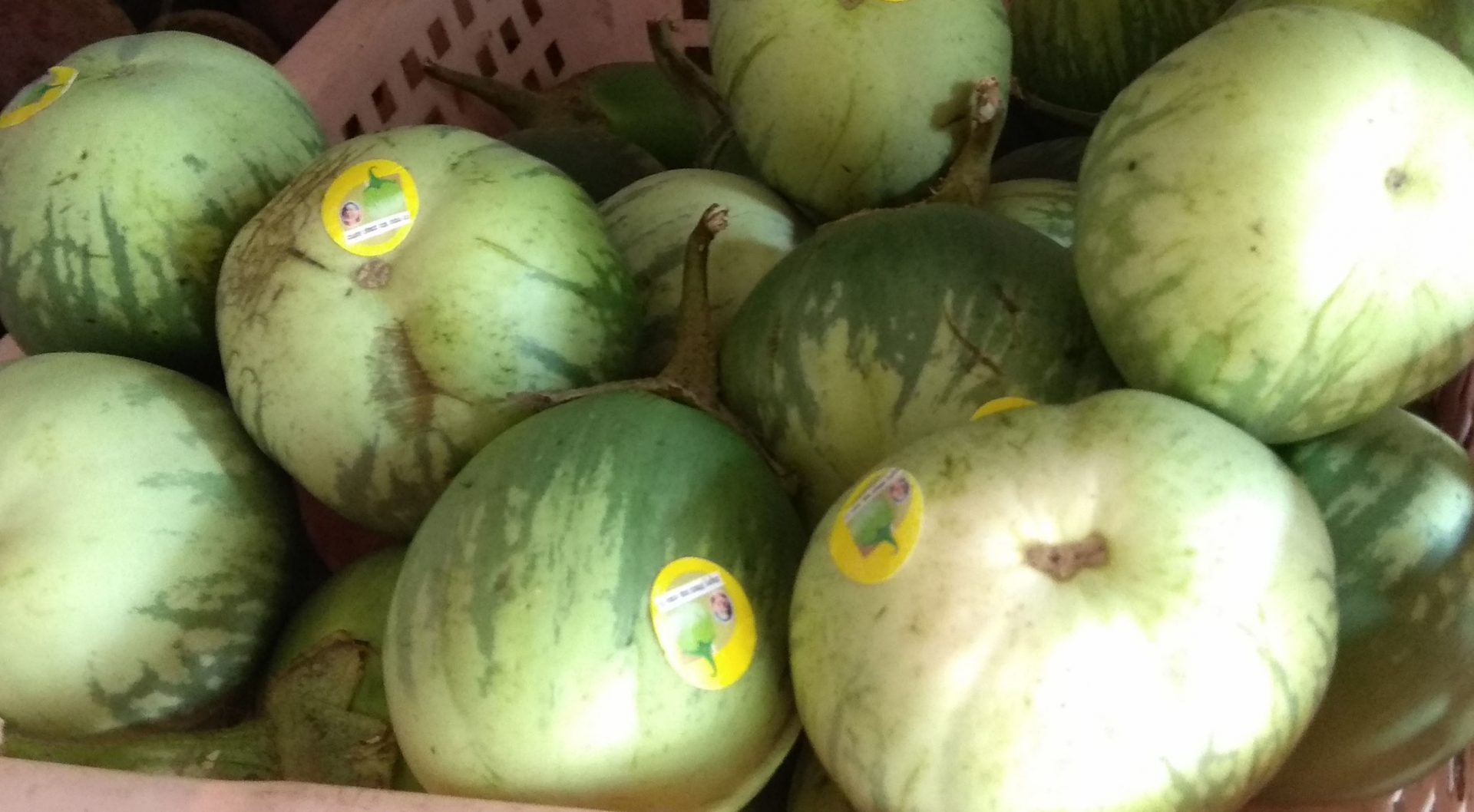 Mattu Gulla market - The Canara Post