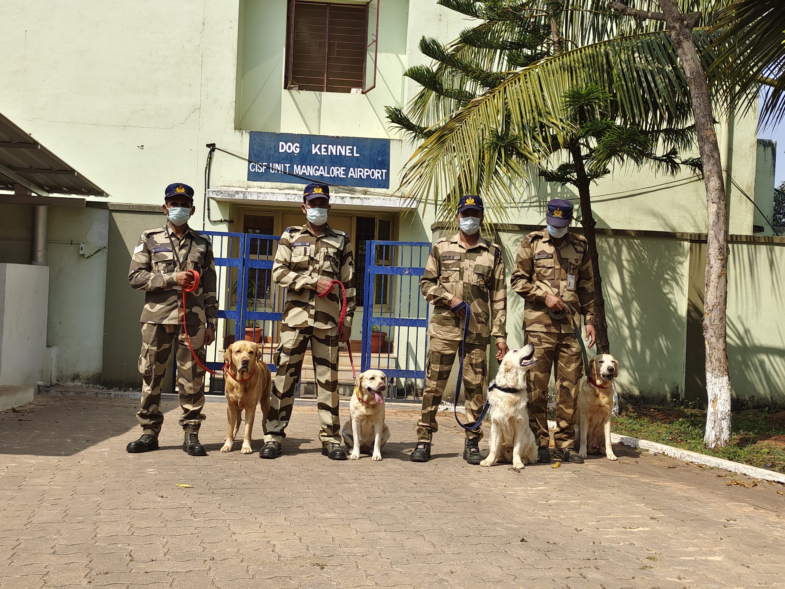 'Goldie' joins Mangaluru Airport Dog Squad - The Canara Post