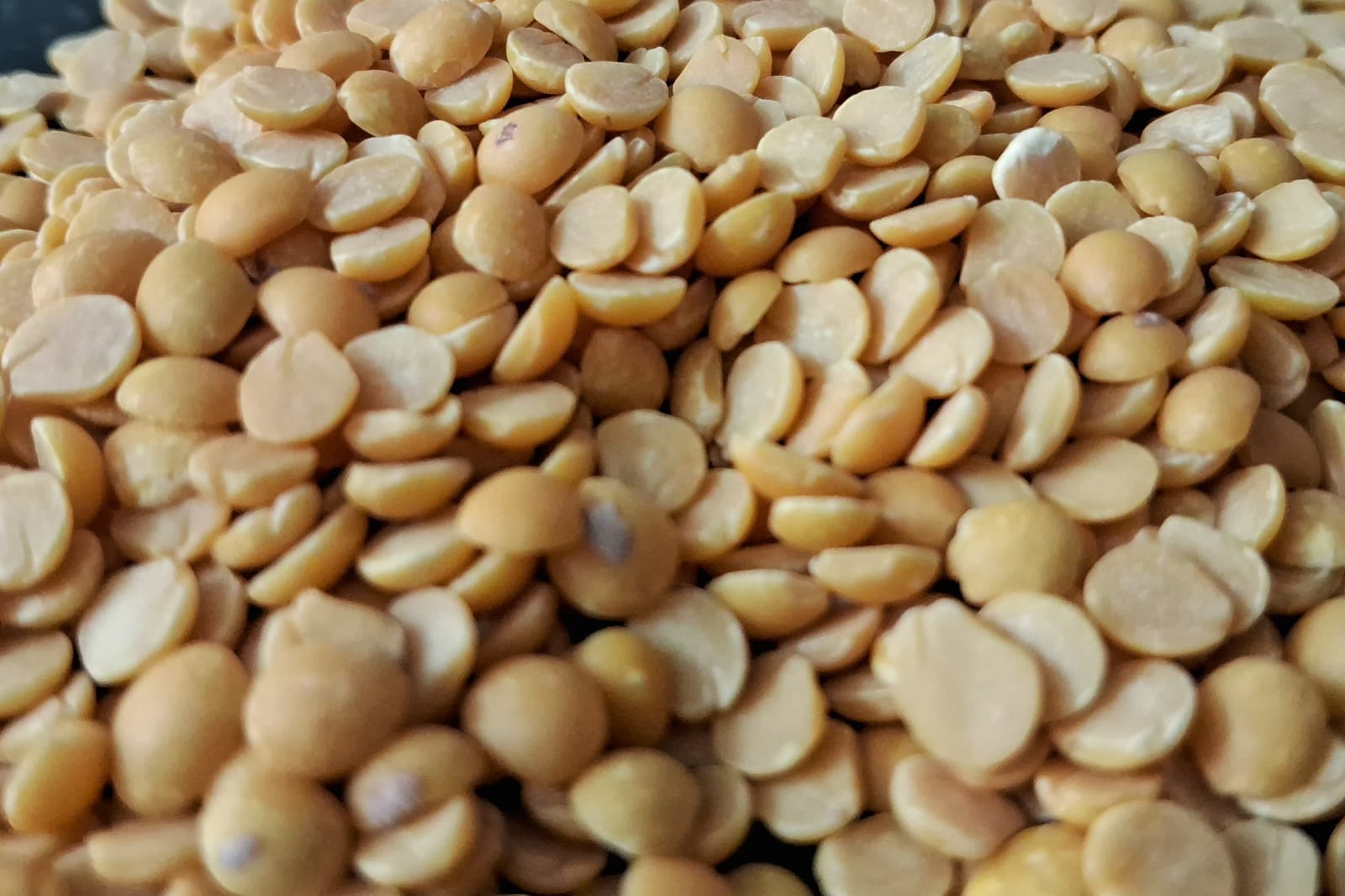 Price of Chana, Tur and Urad in major mandis declined by up to 4% in ...
